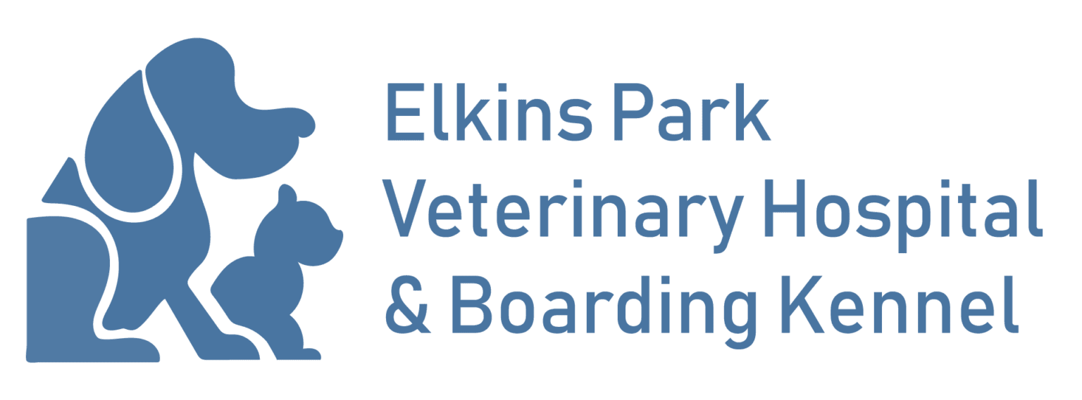 Veterinarian Elkins Park | Animal Hospital Elkins Park